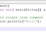 Single Line Comment Example